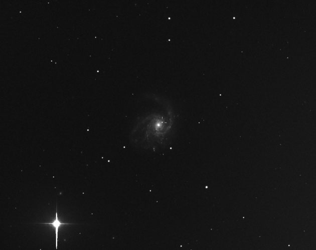 Supernova SN 2014L in Messier 99: new image (23 Feb. 2014) - The ... Supernova SN 2014L in Messier 99: new image (23 Feb. 2014) - The ...
